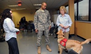 Therapy dogs helping with more than PTSD, TBI | DefenceTalk