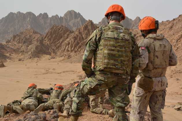 Task Force War Eagle focus on operational readiness in Sinai | DefenceTalk