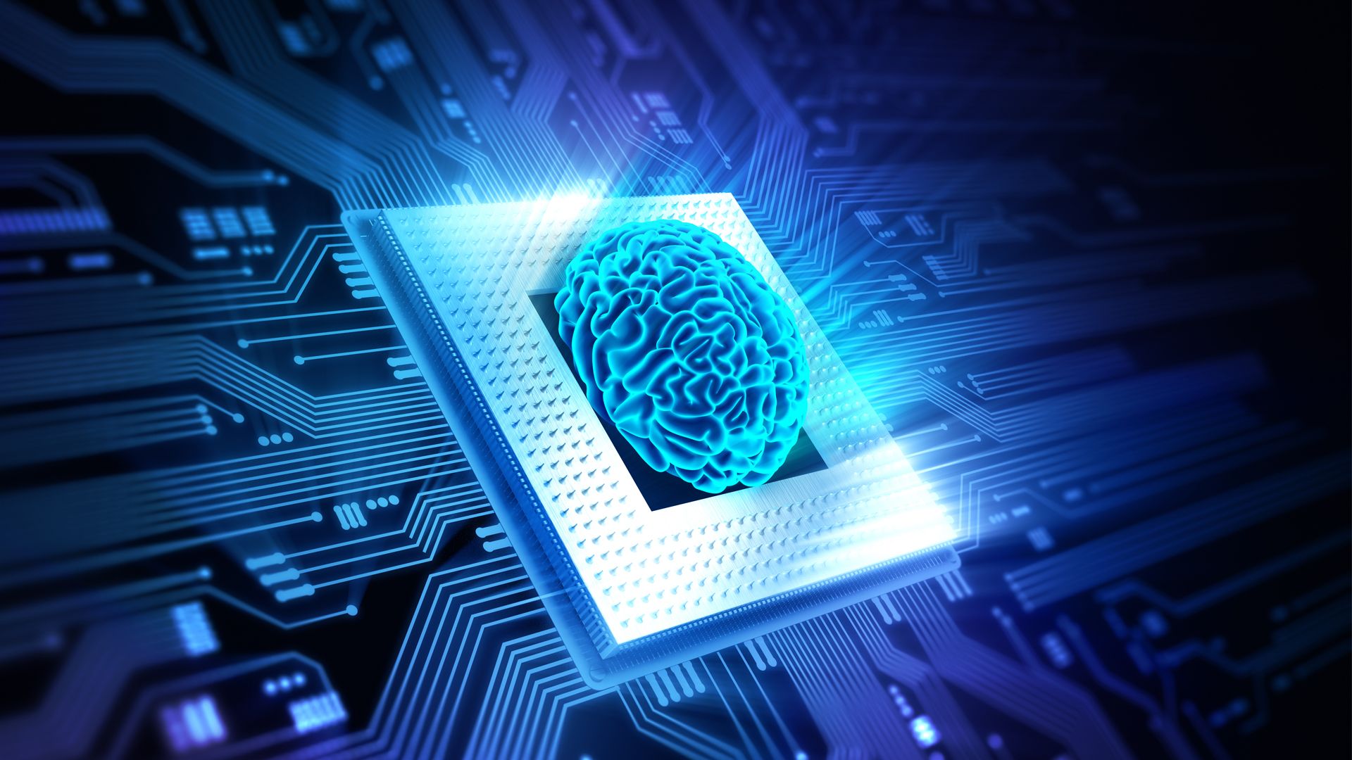 Brain Computer Interfaces Show Promise For Military Use Defense News